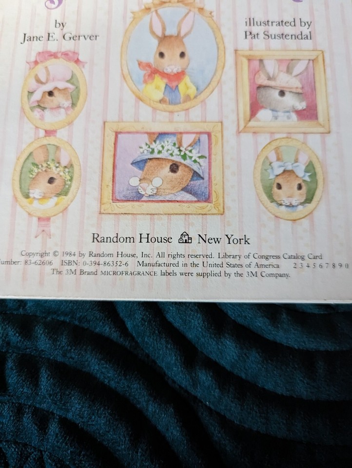 PETER RABBIT SNIFFY ADVENTURES (Sniffy Book) - Spiral Board Book - No ...