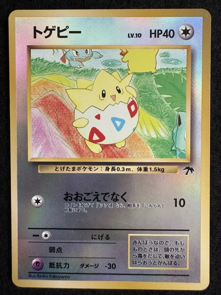 Complete Pokemon Southern Islands Collection File Rainbow Tropical ...