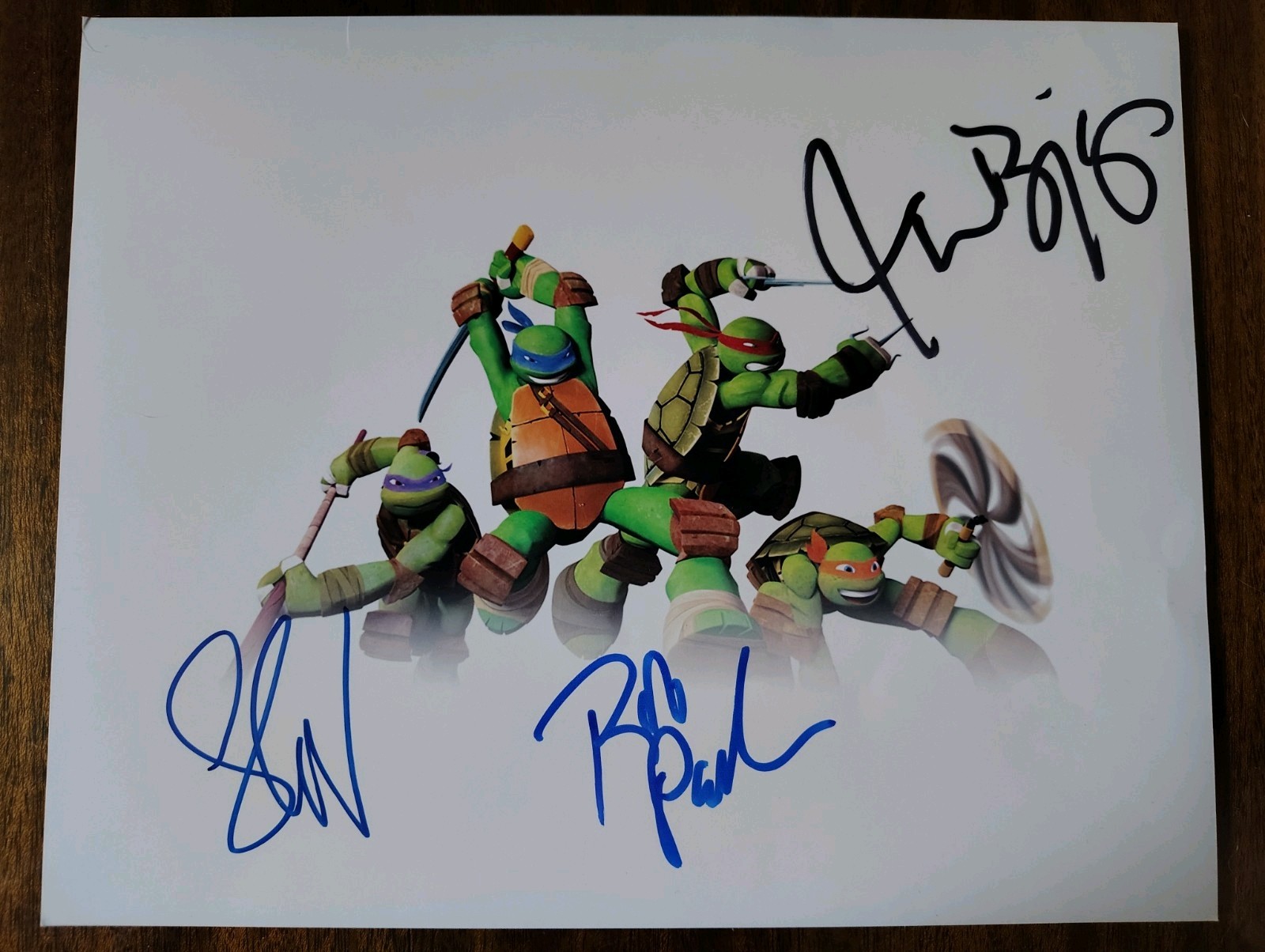 Teenage Mutant Ninja Turtles Signed 8x10 Jason Biggs Seth Green Rob ...