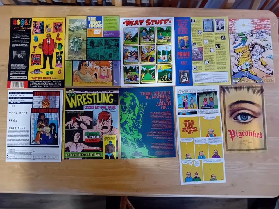 Vintage Bundle of Fantagraphics Comic Books Various Titles See Photos ...