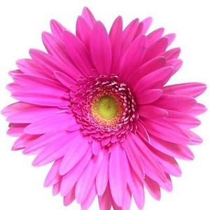 Daizee's Boutique | eBay Stores