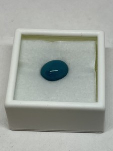 Coin Galleries Of Myrtle Beach | eBay Stores