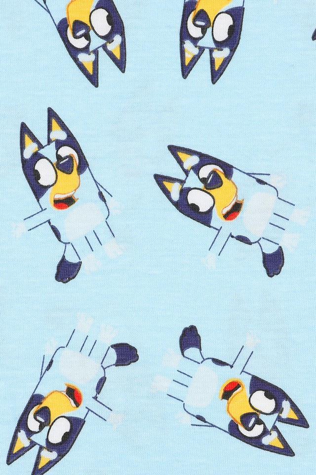 Kids Bluey and Bingo Long Pyjamas 2 to 7 Years PJs | eBay UK