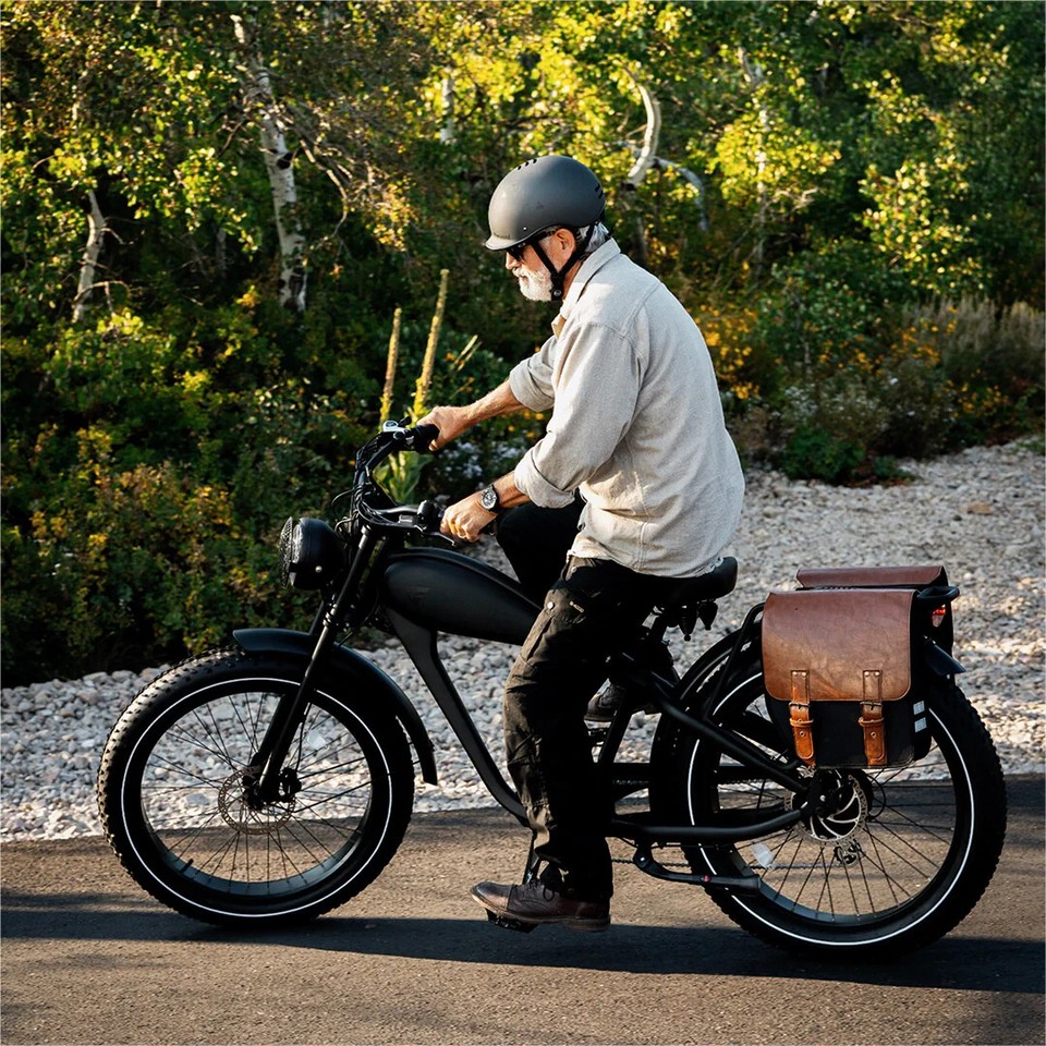 CHEETAH PLUS Full-Package Deal - 48V 840wh 17.5ah | eBay