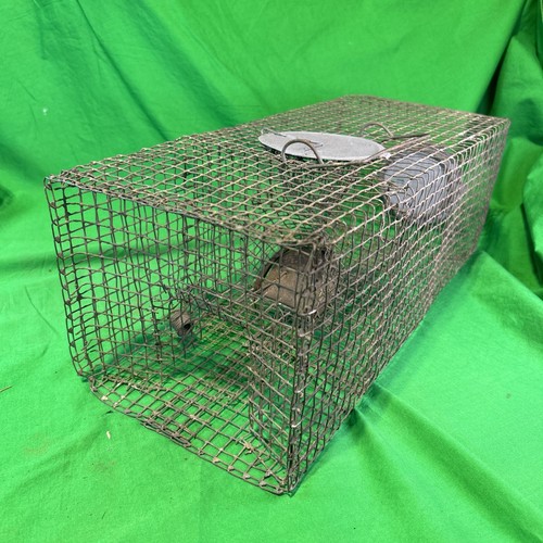 Vintage 8" x 18" Metal Wire Small Live Animal Bait Carry Cage Old | eBay