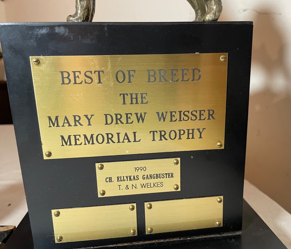 vintage solid bronze Best Breed Norwegian Elkhound dog show trophy ...