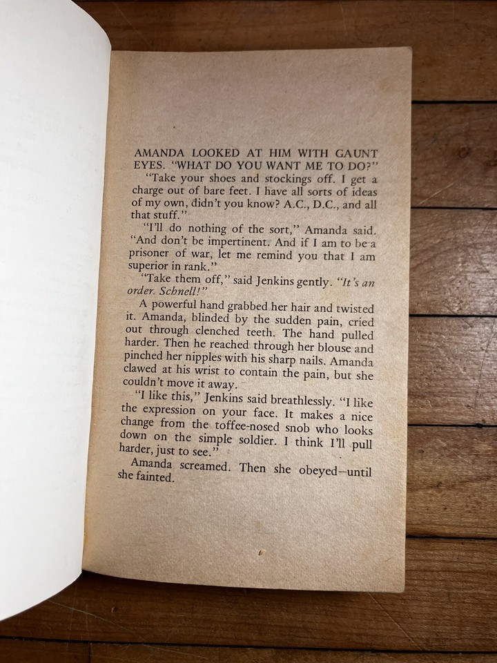 Amanda In Germany, Geoffrey Bocca, 1972 PB Rare Pulp Excellent ...