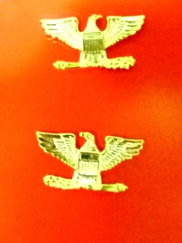 Colonel Captain Eagle Collar Pin Devices Set of 2 US Military Gold P906 ...