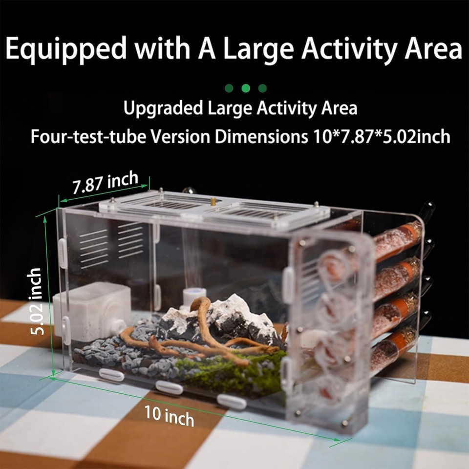 Ant Nest for Live Ants - for Small Ant Clony - Natural Learning Toy ...