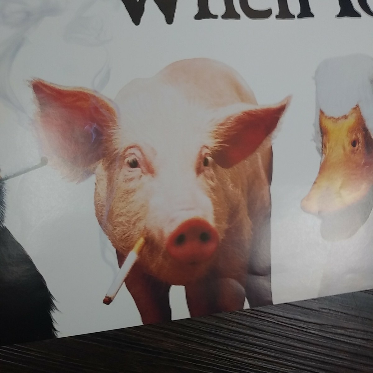 Animals Smoking Cigarettes Poster