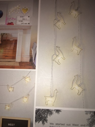 WEST & ARROW Metallic Llama String Lights Patio Bar Party LED 8.5 ft ...