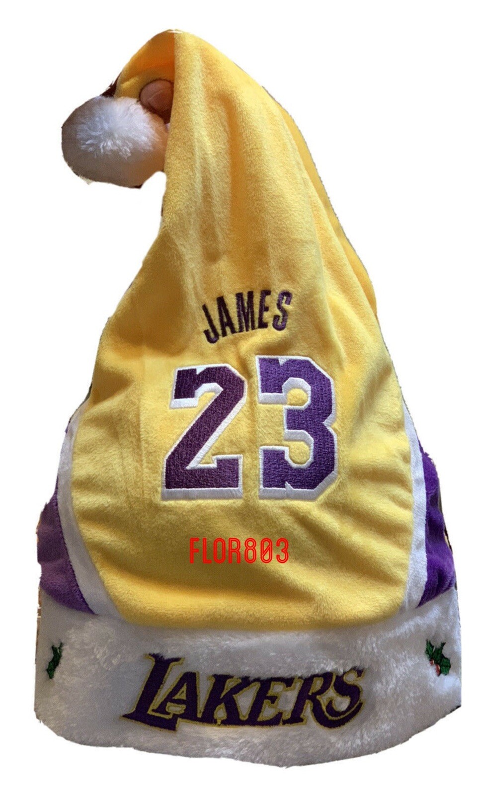 NBA Los Angeles Lakers Lebron James #23 Holiday Christmas Santa Hat for ...