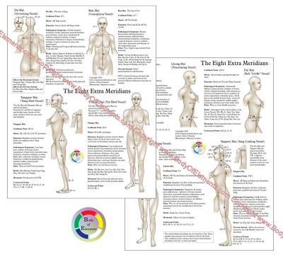 The Eight Extraordinary Meridians Acupuncture Points Chart 8.5" X 11 ...
