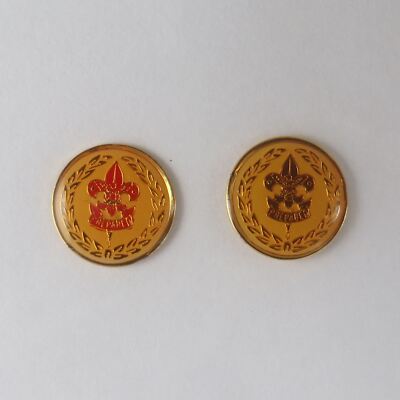 Boy Scout Commissioner Pins [PN-2284] | eBay