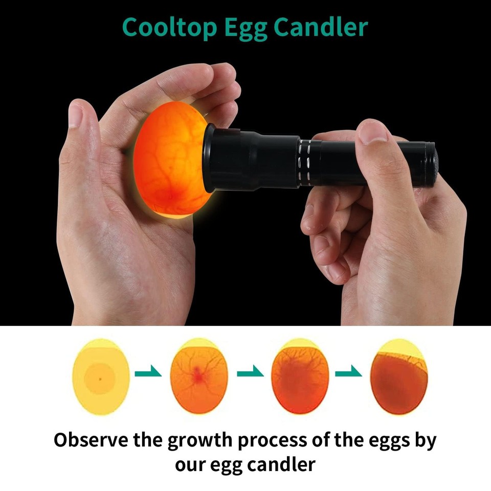 Egg Candler, Candling Light Tester for Eggs with High Intensity,Egg ...