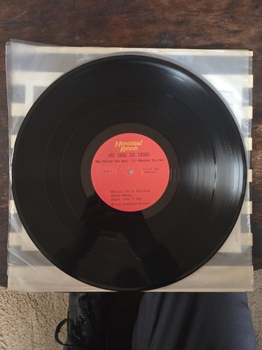 The Taller You Are, The Shorter You Get [LP] by My Dad Is Dead (Vinyl ...