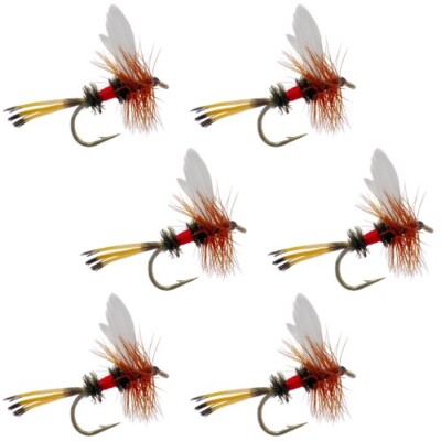 6 Pc Royal Coachman Size #14 Dry Fly Fishing Flies for Trout, Bluegill ...