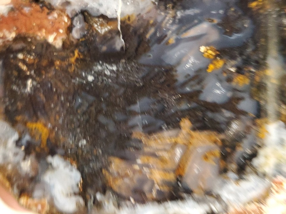 Large Baker Ranch Sagenite Needles Thunderegg Polished Crystal Geode ...