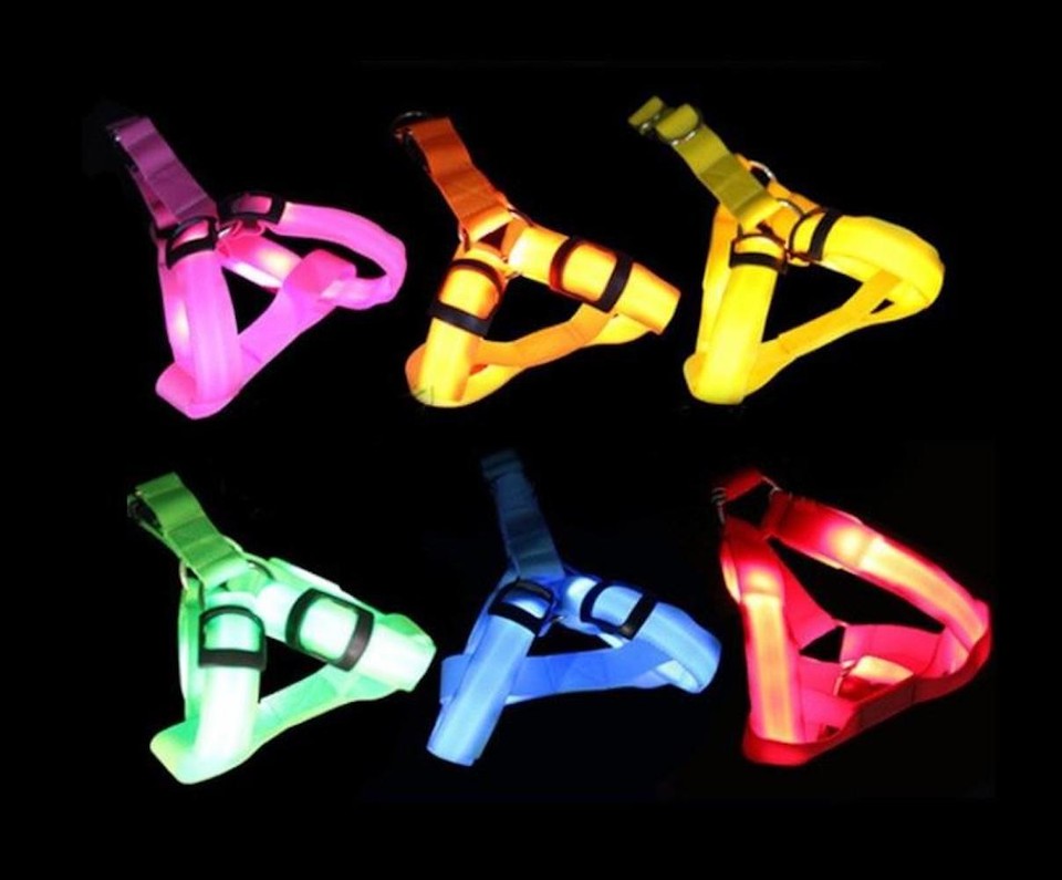 USB RECHARGEABLE CHEST HARNESS LED Pet Dog Glow Flashing Light-up Night ...