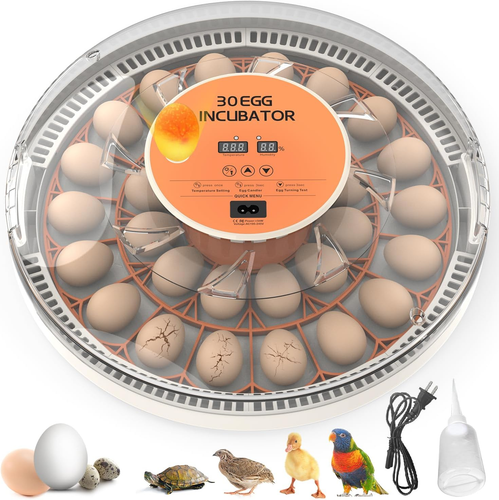 30 Eggs Incubator 360°View Eggs Poultry Incubator for Hatching Chickens ...