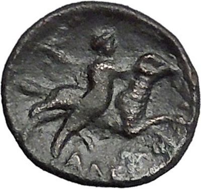 HALOS in THESSALY 302BC Zeus Phrixus on GOLDEN Ram RARE Greek Coin ...