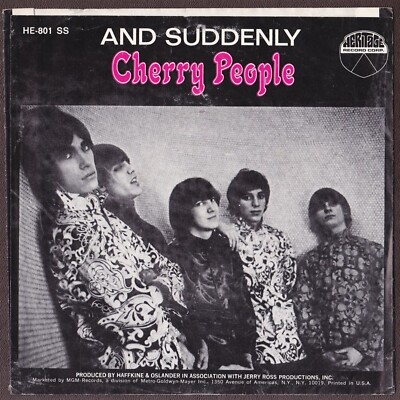 Cherry People 45 RPM Picture Sleeve Only - And Suddenly / Imagination ...