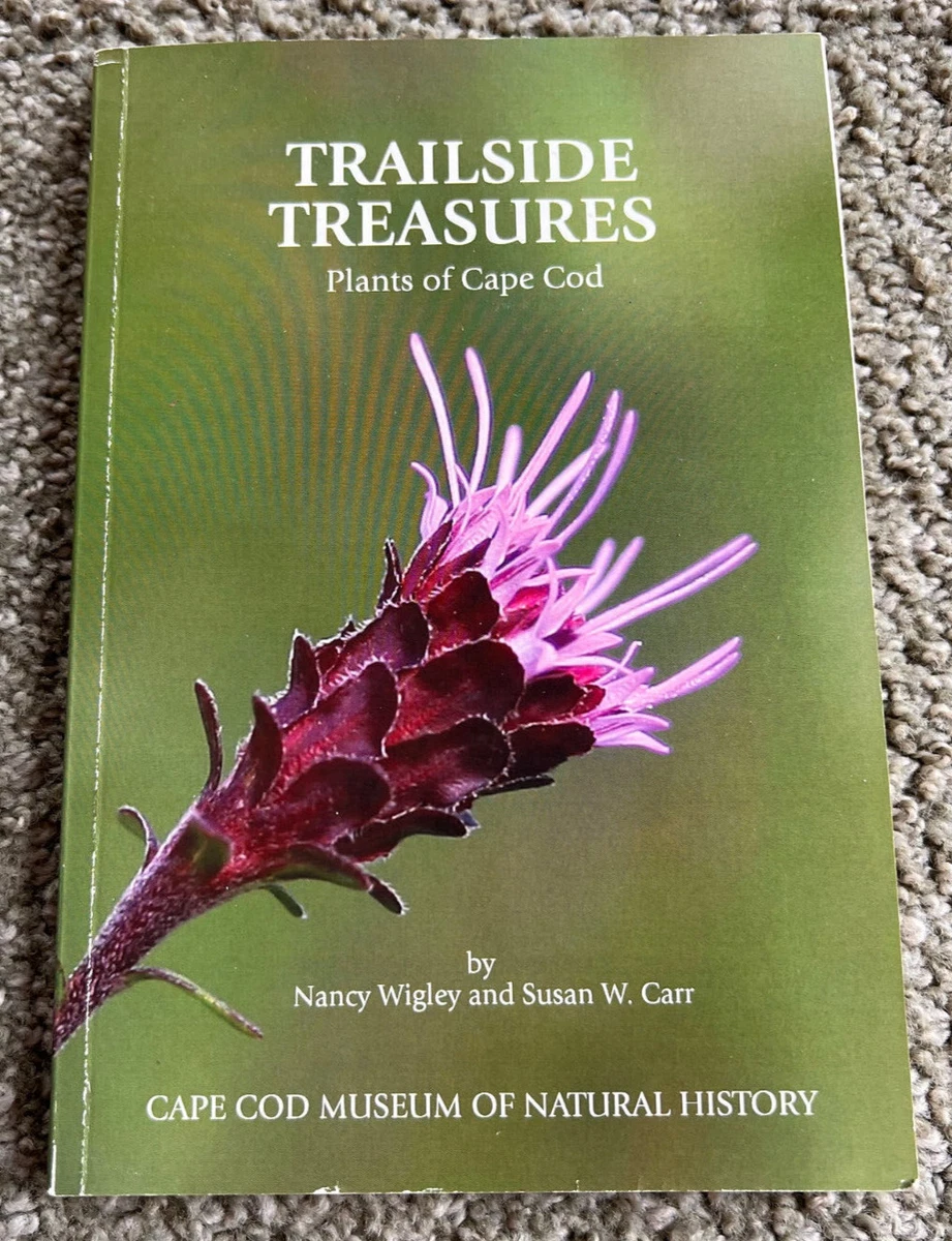 Flower Field Cape Cod | Best Flower Site