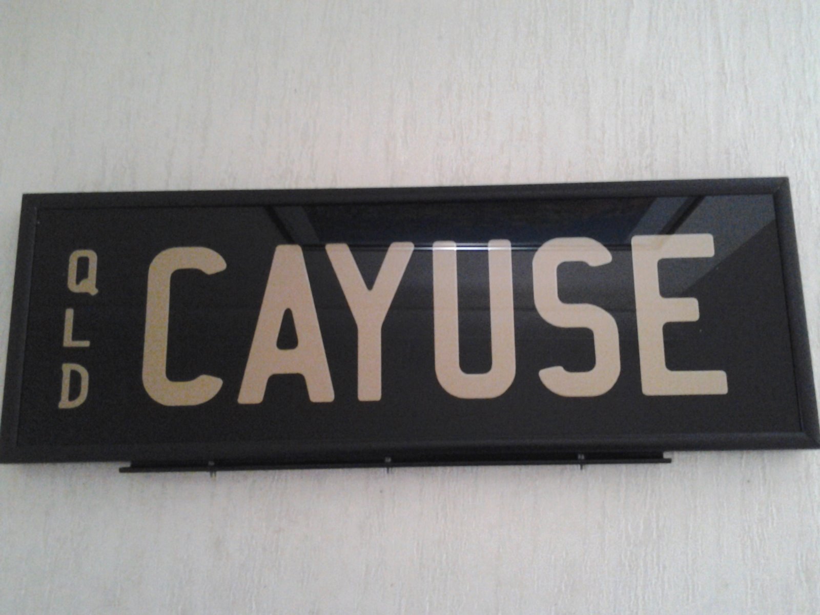 CAYUSE- Qld PPQ personalised number plates FORD MUSTANG | eBay