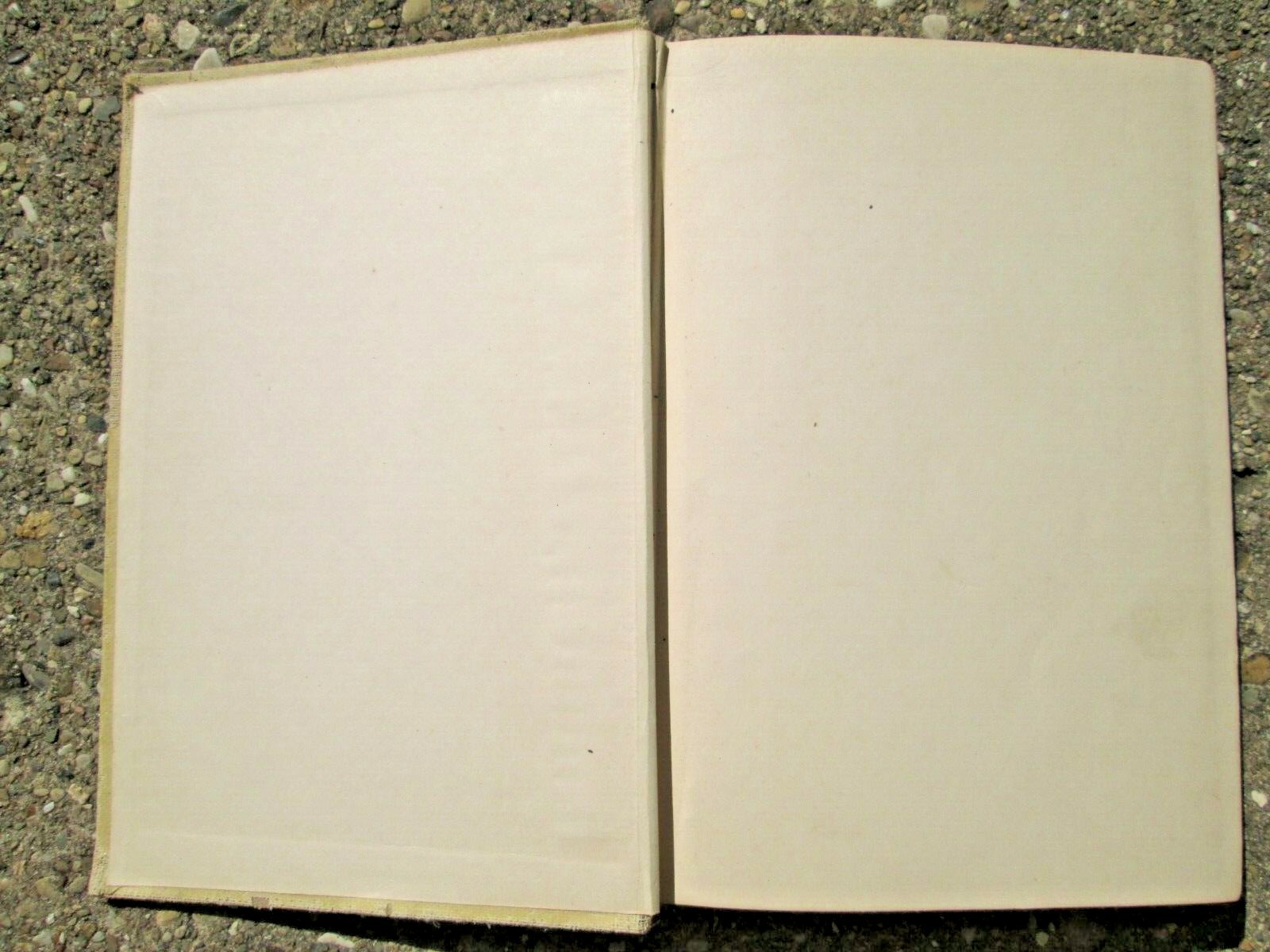 1919 The Tale of Timothy Turtle Arthur Scott Bailey Sleepy Time Tale ...