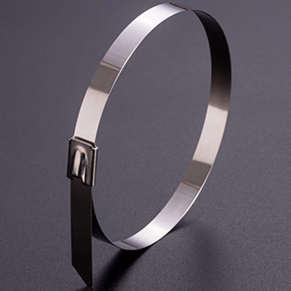 Stainless Steel Metal Cable Ties Zip Wrap Exhaust Heat Straps Marine ...