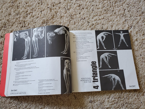 Richard Hittleman's Yoga : 28 Day Exercise Plan by Richard L. Hittleman ...