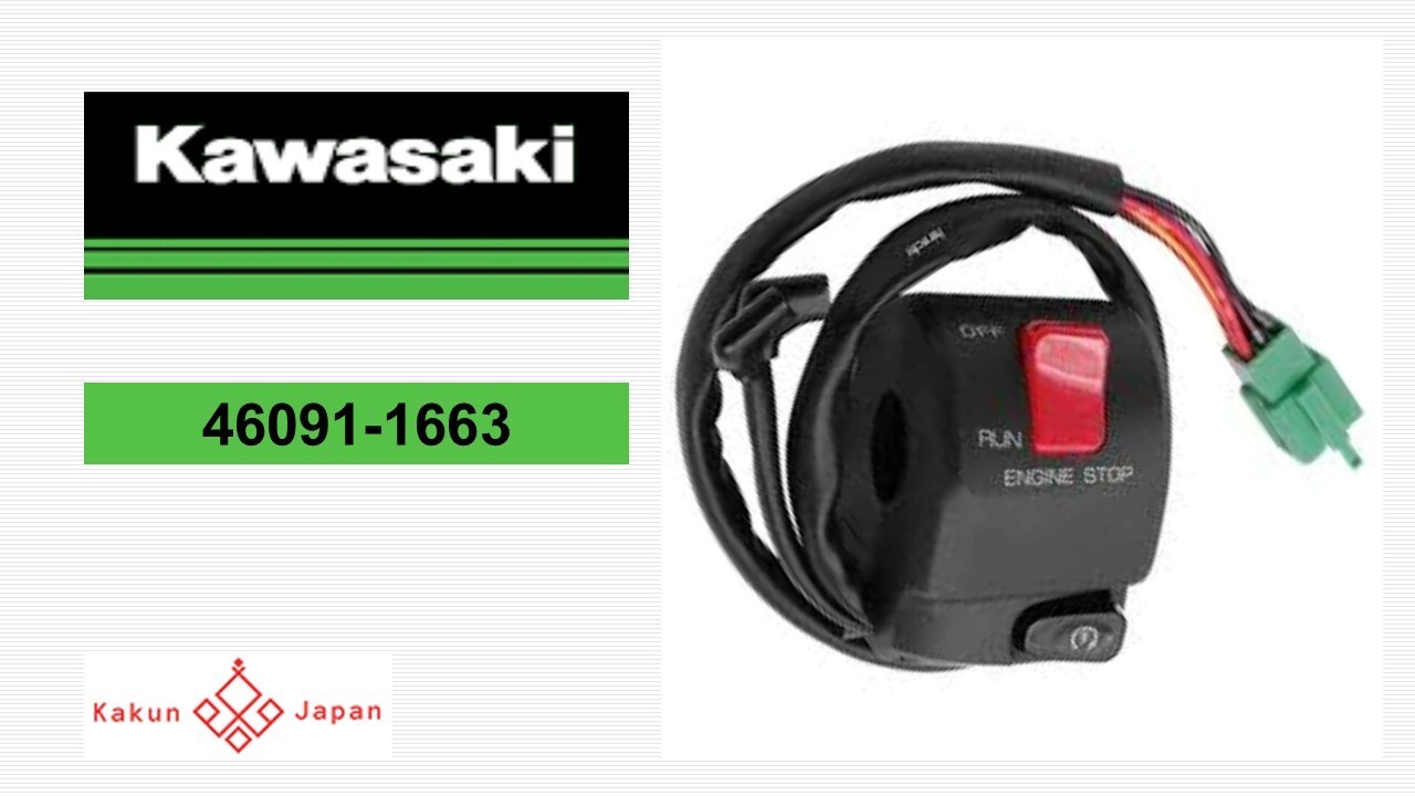 Kawasaki OEM 46091-1663 Ninja 250R 500 ZX-6 ZX-6R Control Housing RH | eBay