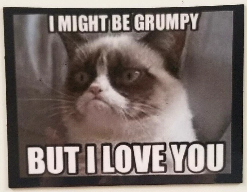 Thank You Grumpy Cat Meme