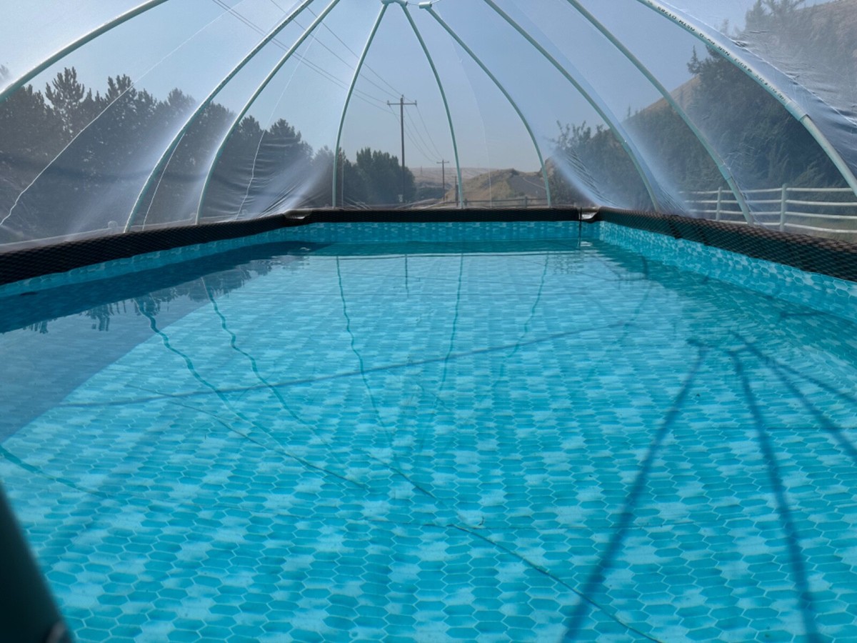 12 X 20 Inground Pool