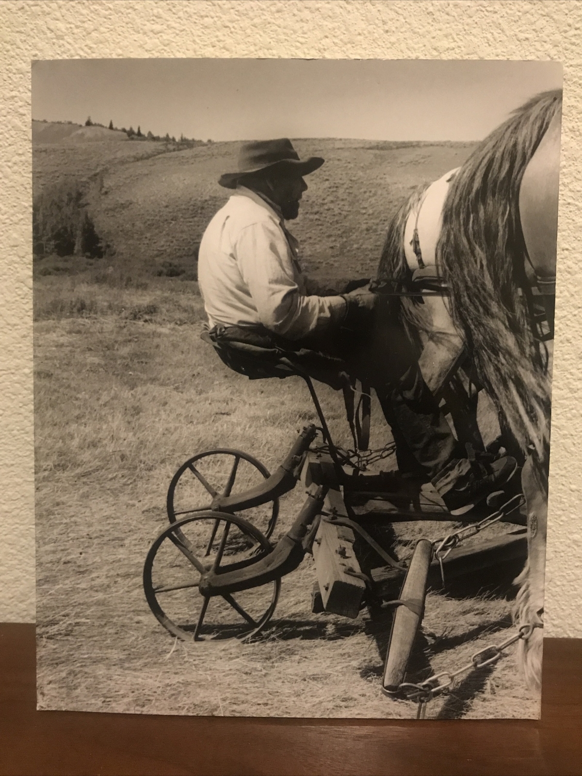 Snooks Moore From Cora, Wyoming Photo Of Him Haying With Team Of Horses ...