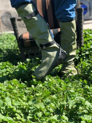 Weed Chaps Boot Style (size Regular) Leg & Shoe protector for string ...