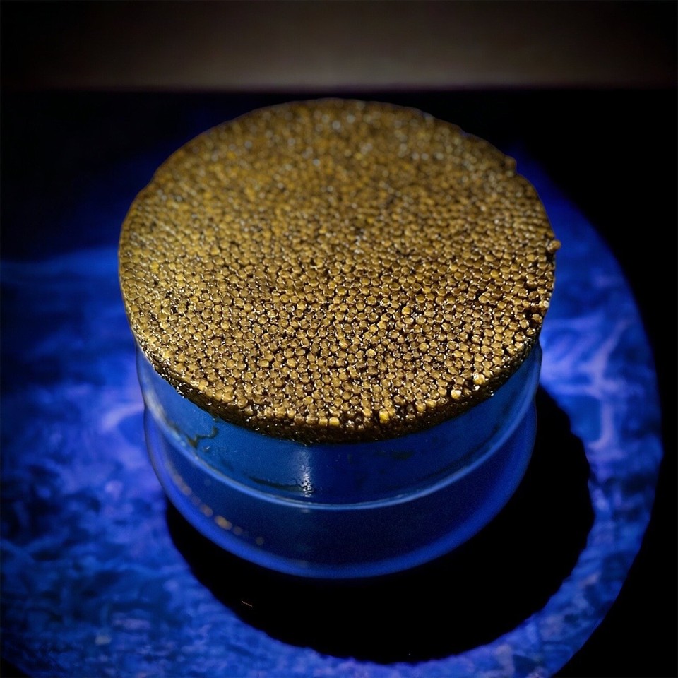 ‼️ Royal Amber CAVIAR ‼️ Sturgeon ‼️ Black Caviar 250 Gram / 8.8oz ...