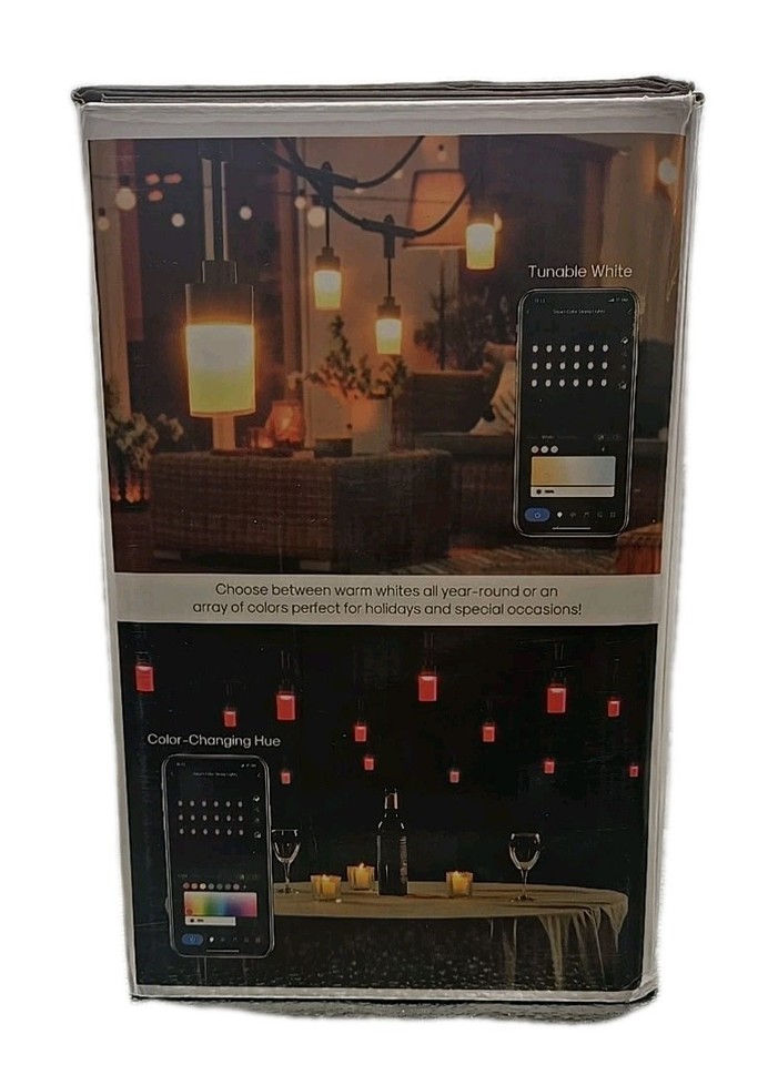 Atomi Smart Wi-Fi Color Outdoor String Lights - App controlled - 36ft ...