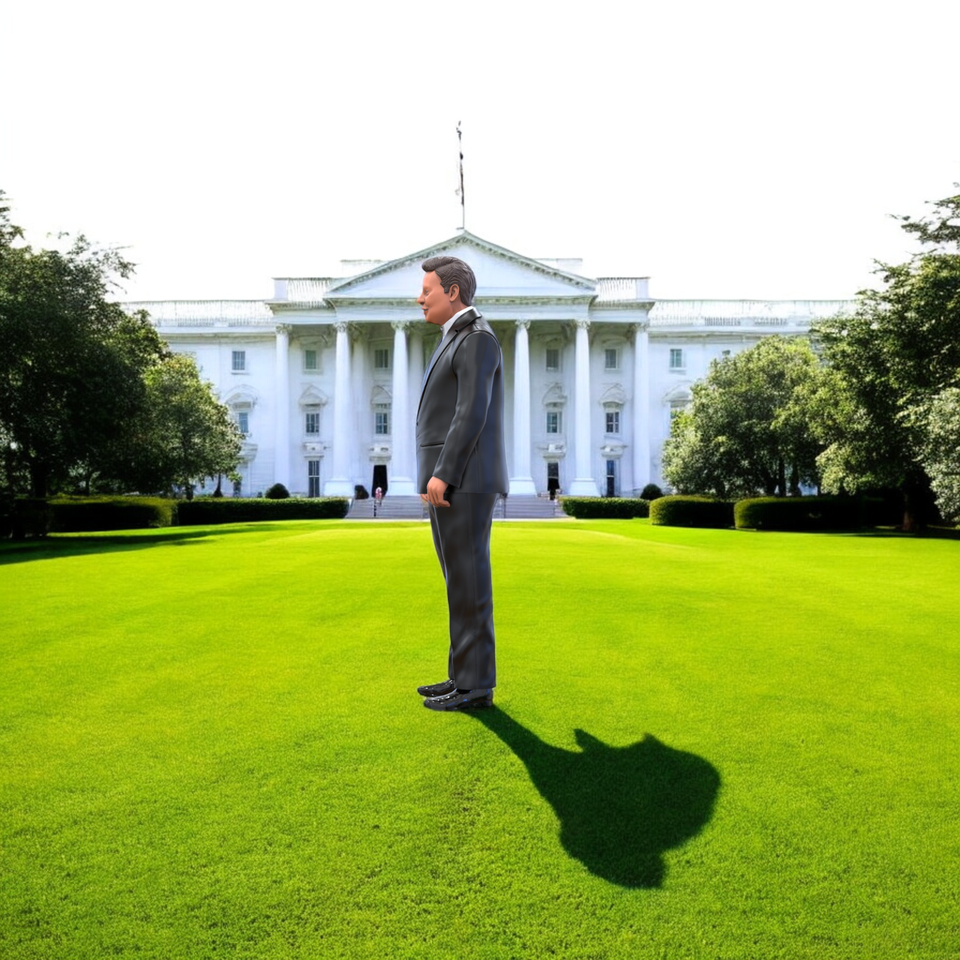 Elon Musk Resin 3d print Unpainted Figure White House DOGE | eBay