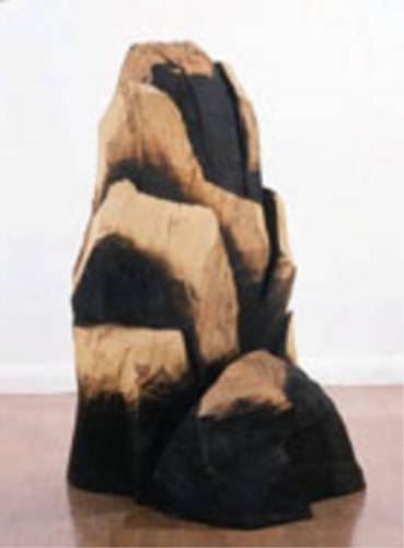 Sarah Blomfield Amanda Farr David Nash Twmps (Poche) | eBay