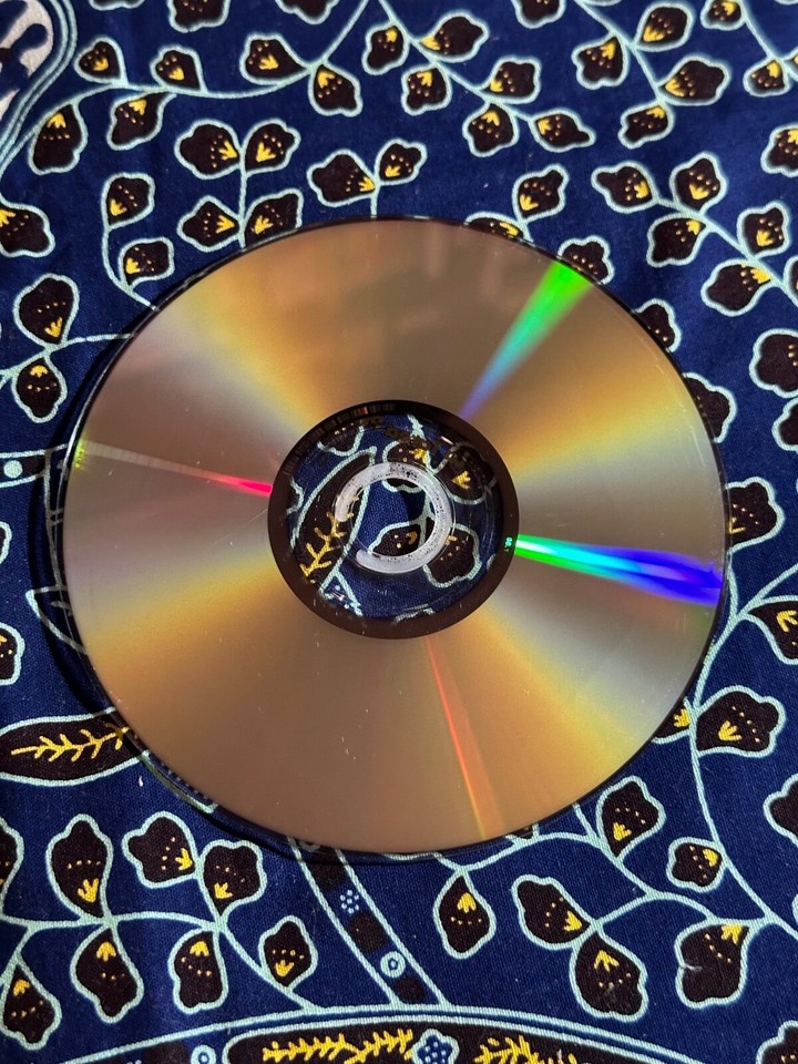 FORBIDDEN HOMEWORK (DVD, 1992) -- No case | eBay