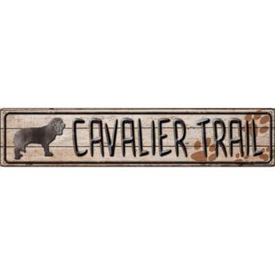 Cavalier Trail Novelty Metal Street Sign ST-046 | eBay