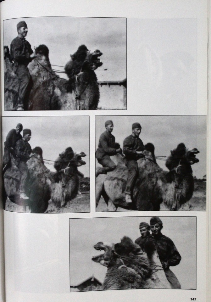 Kriegsberichter Franz Roth by Charles Trang | eBay