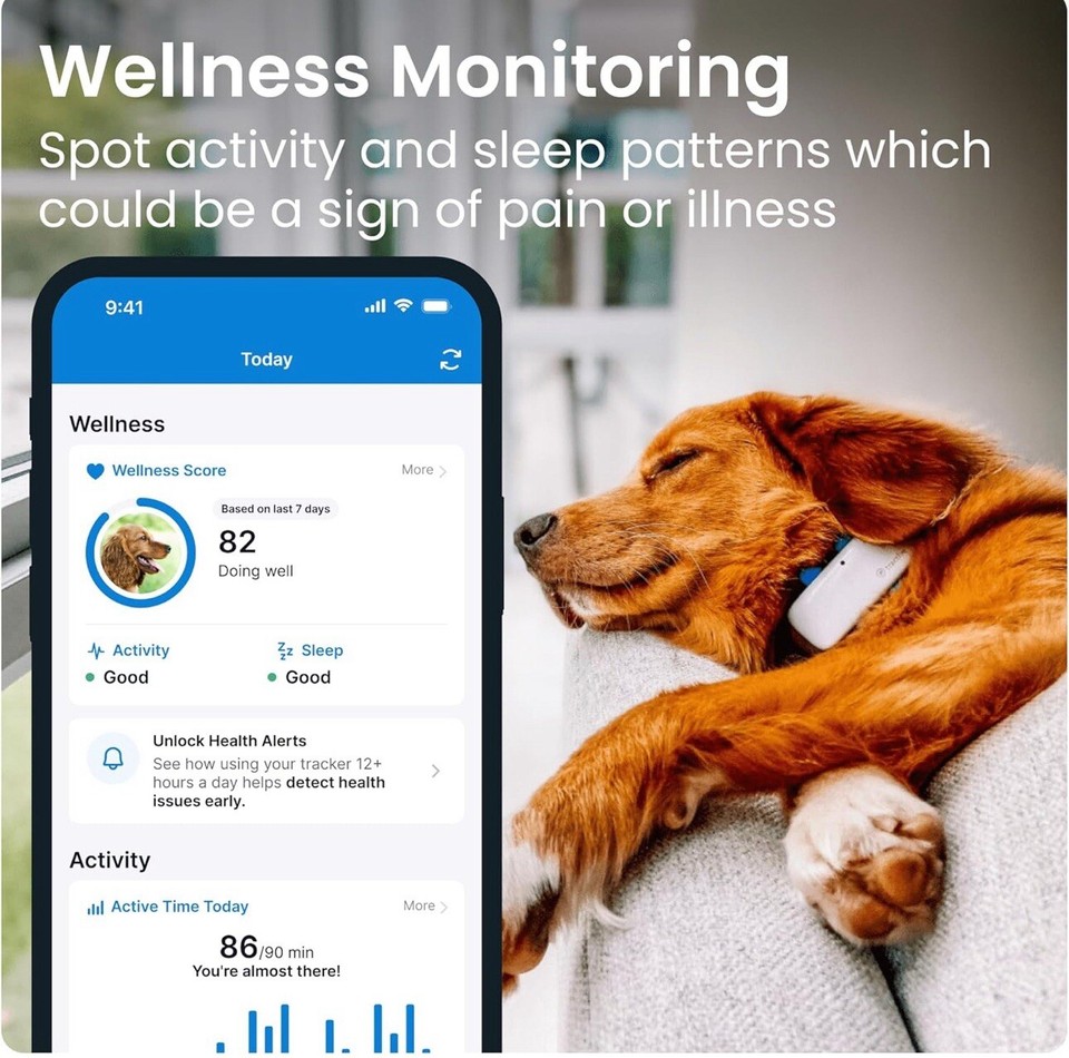 Tractive GPS Tracker & Health Monitoring for Dogs, Brown, Refurbished ...