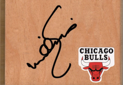 Chicago Bulls Scott Williams Signed FloorBoard COA | eBay