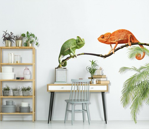 3D Green Chameleon G249 Animal Wallpaper Mural Poster Wall Stickers ...