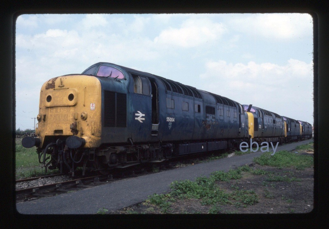 ORIGINAL slide-Class 55 Deltic 55004 heads a line of withdrawn 55's at ...