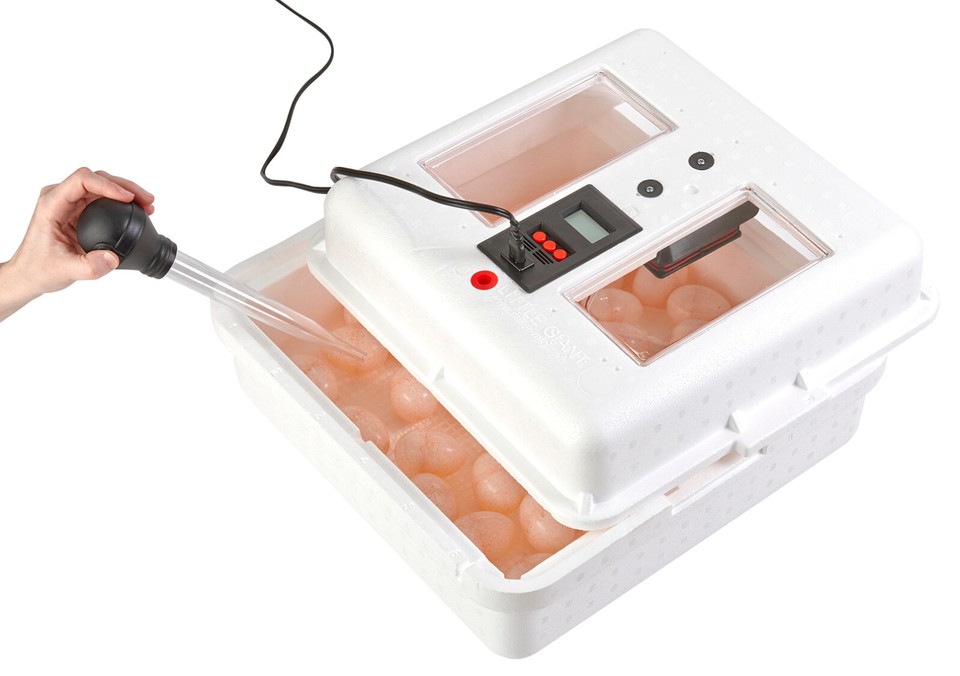 Still Air Incubator For Chicken Eggs Quail Eggs Exotic Bird Eggs ...