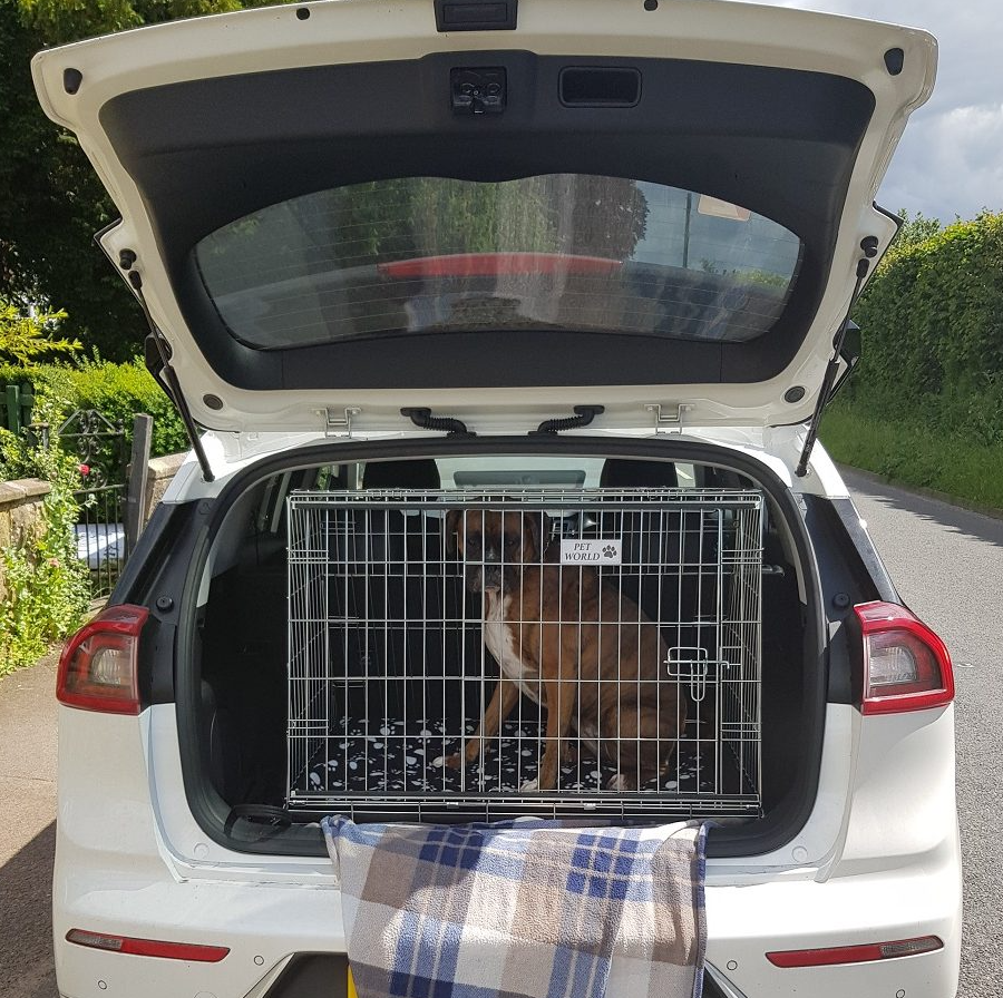 Cars For Dog Crate Design HYUNDAI IONIQ 5 PROJECT 45 CAR DOG CAGE
