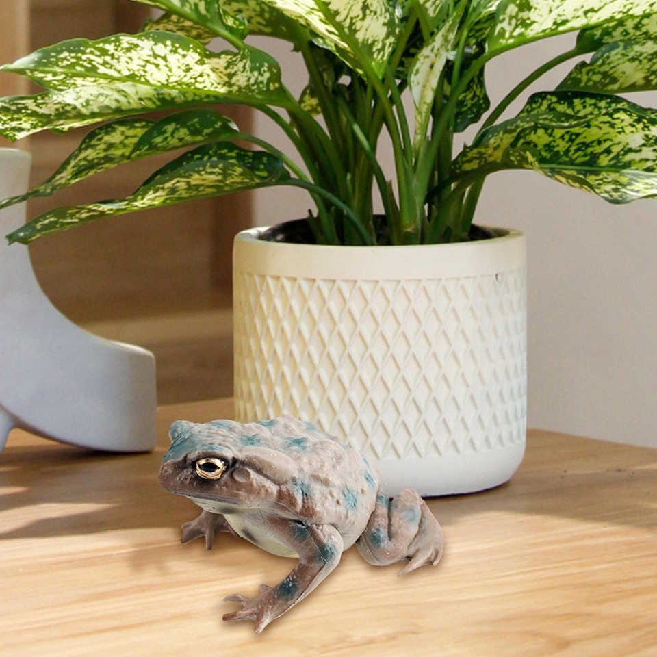 Toad Toy Figur Bullfrog Figur Modell PVC Frosch Figuren Netter Frosch ...